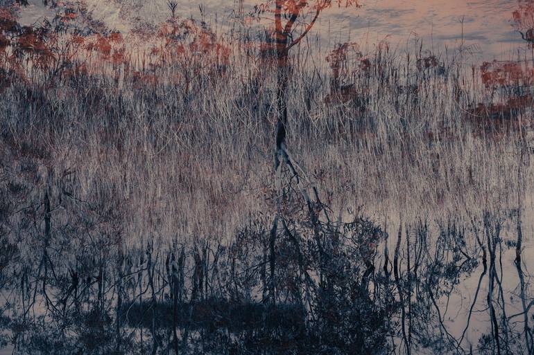 Lake Fyans 06 Photography by Christine Goerner | Saatchi Art