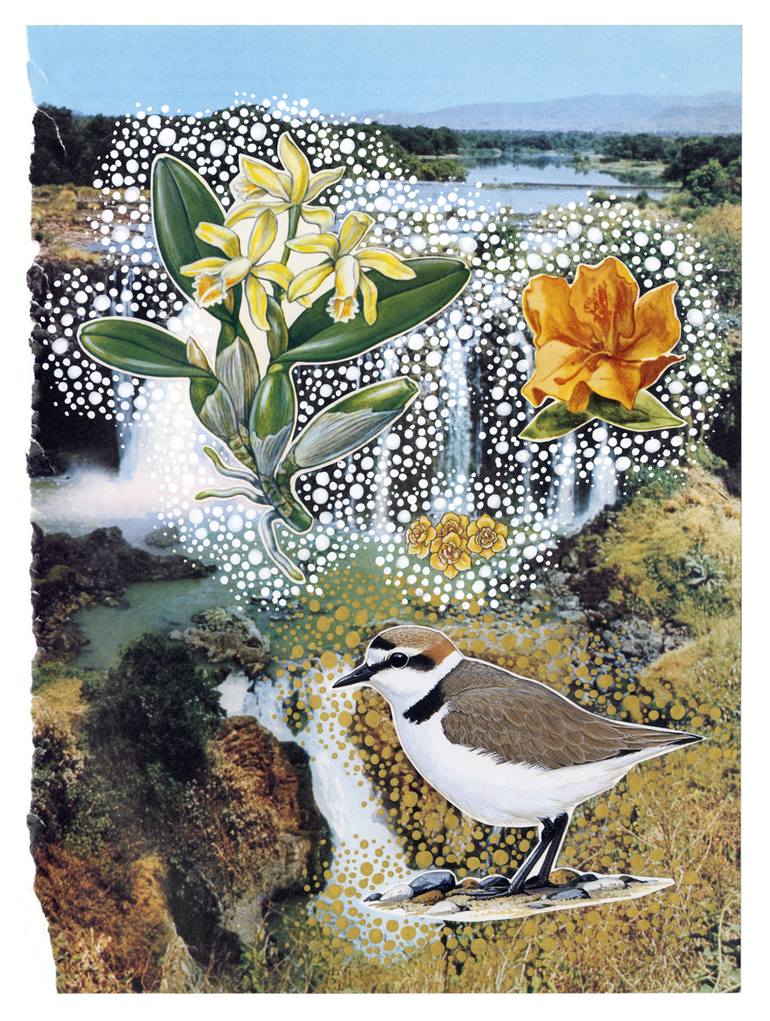 The Source of The Nile Collage by Yaarit Mechany | Saatchi Art