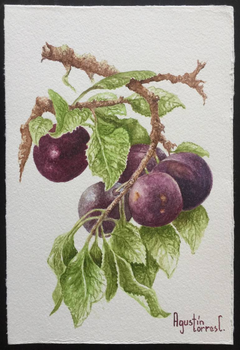 Plums Painting by Agustin Torres | Saatchi Art