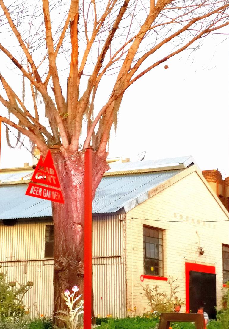 Red Tree - Limited Edition 1 of 3 Photography by Mary-Anne Goodman ...