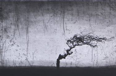 Johnny Bugler Artworks | Saatchi Art