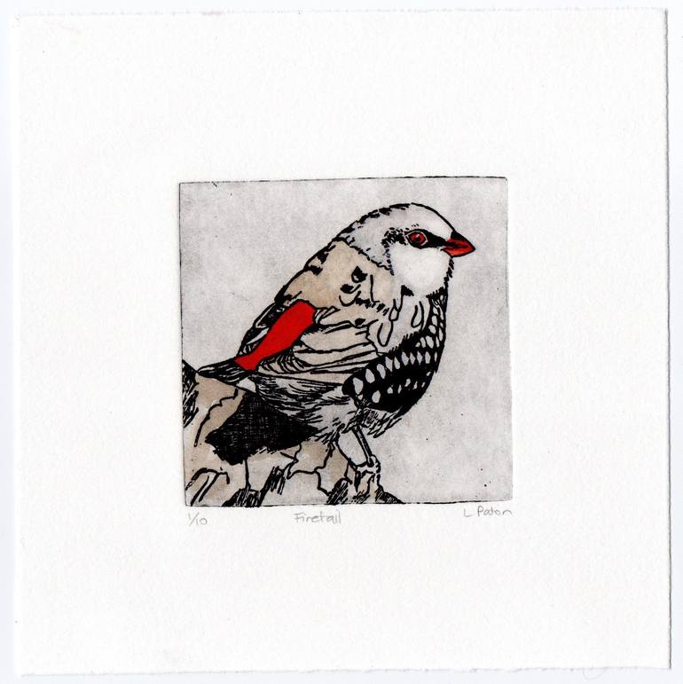 Diamond Firetail #2 - Limited Edition 1 of 10 Printmaking by Lydie ...