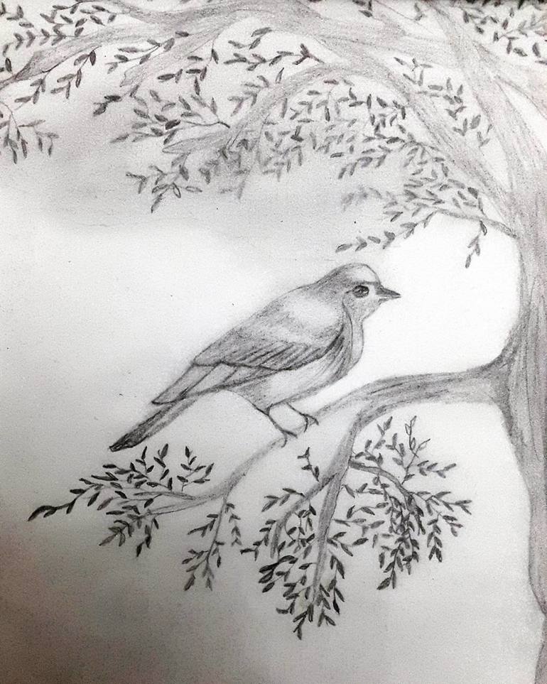 Morning bird Drawing by heba aldibes | Saatchi Art