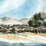 New Mexico Pinons - Original Watercolor Painting Painting by Charles ...
