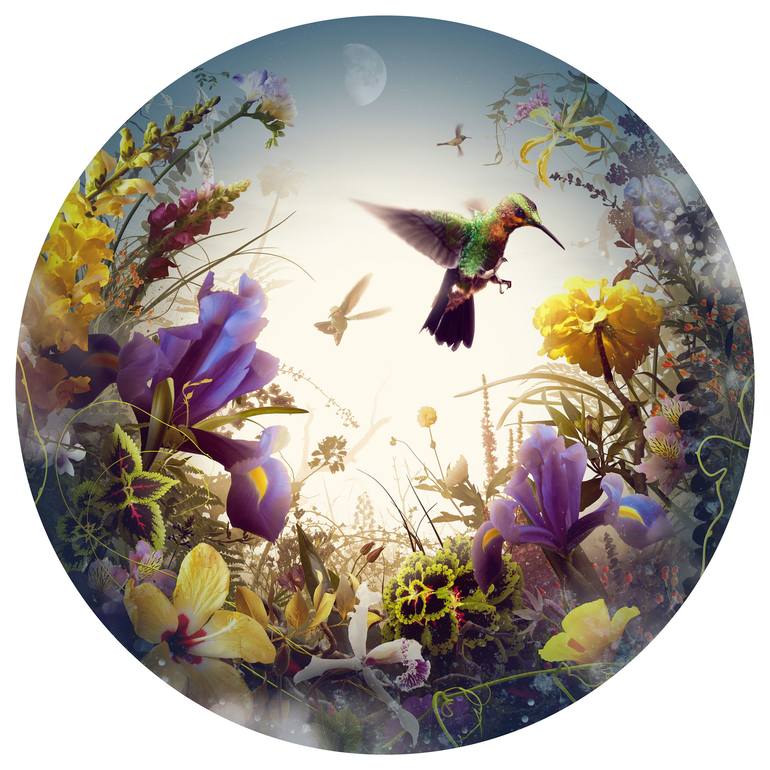 PARAMOUR - Limited Edition of 14 Photography by Jesper Krijgsman ...