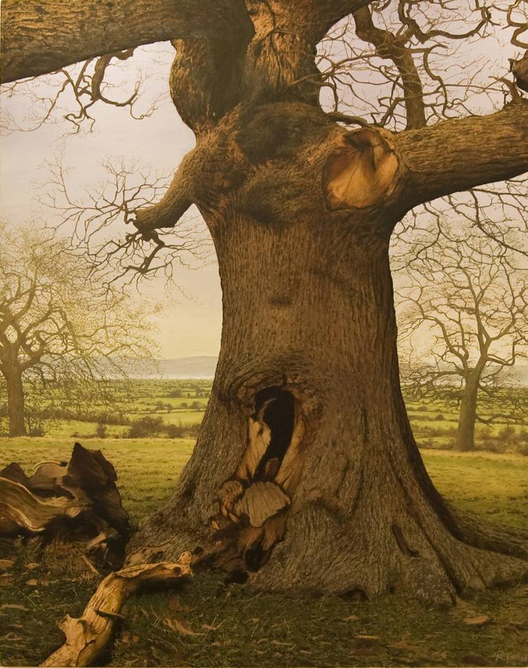 Oak Tree at Berkeley Deer Park Painting by Rob Collins | Saatchi Art