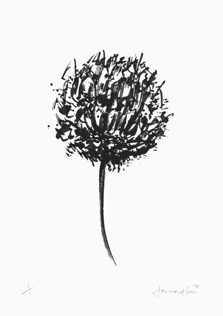 The Diligent Drawing by Joanna Ham | Saatchi Art