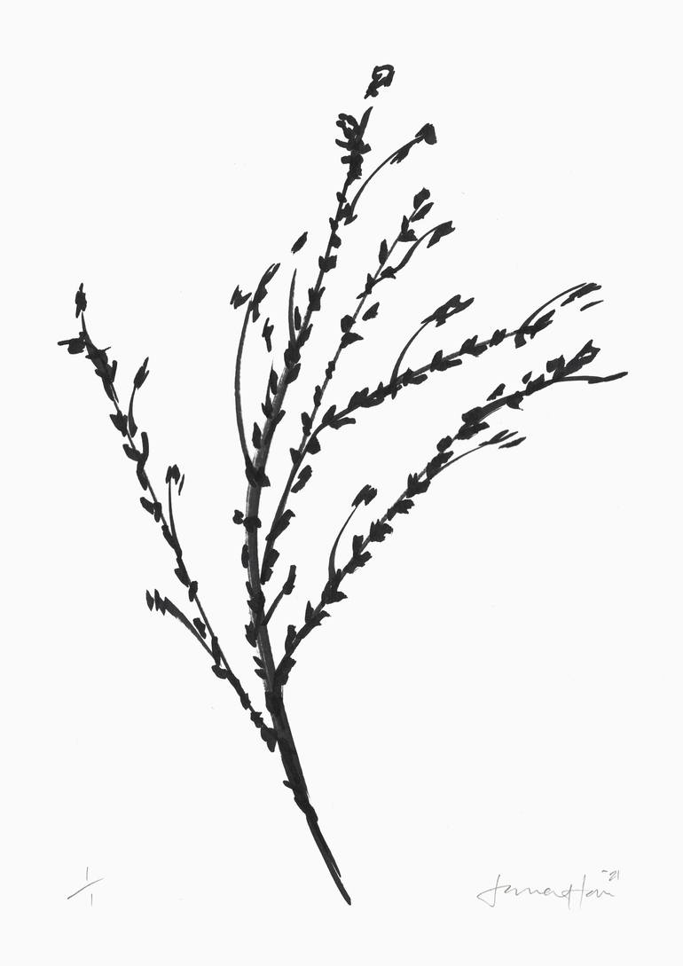 The Amiable Drawing by Joanna Ham | Saatchi Art