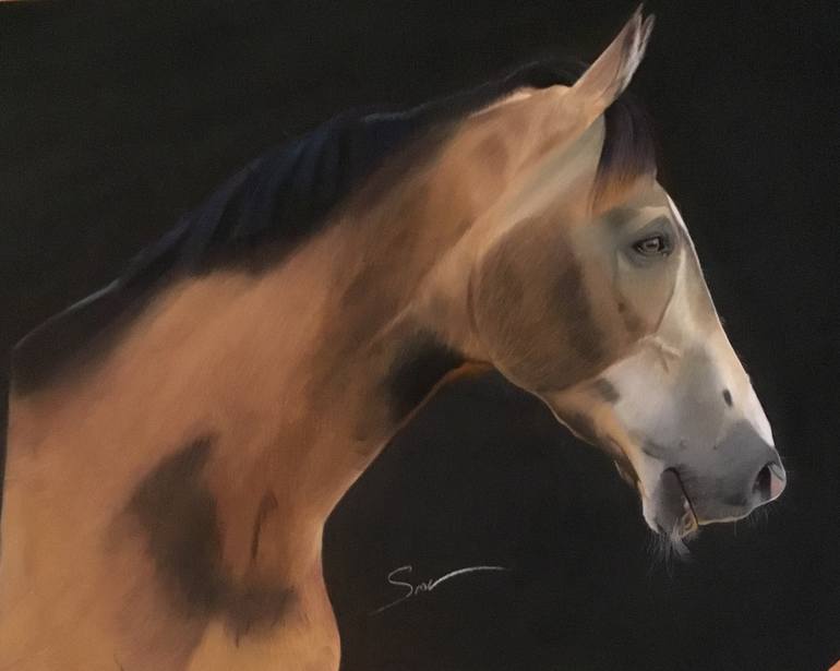 Horsey Drawing by Antonio Snow | Saatchi Art