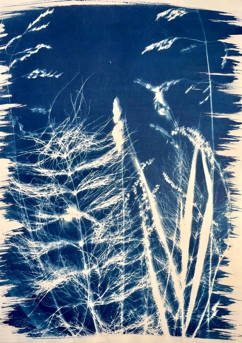 Cyanotype - Limited Edition of 1 Photography by Natalia Amdam | Saatchi Art