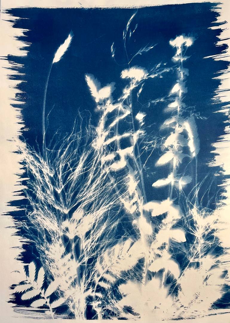 Cyanotype - Limited Edition of 1 Photography by Natalia Amdam | Saatchi Art