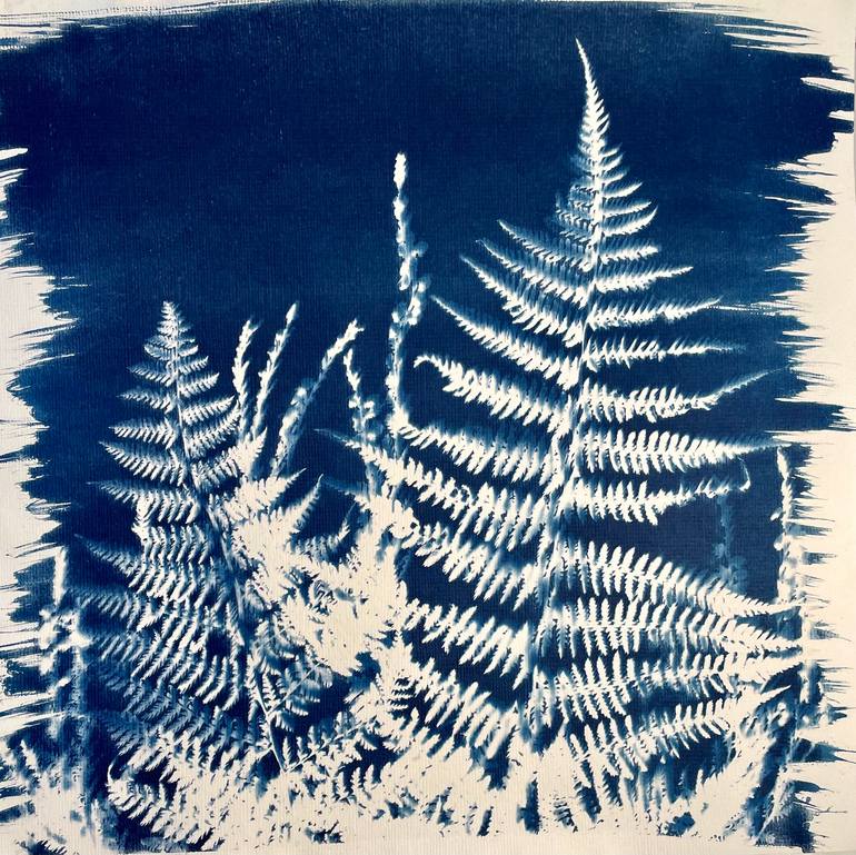 Cyanotype - Limited Edition of 1 Photography by Natalia Amdam | Saatchi Art