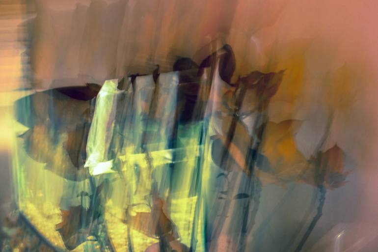 FishTank Photography by Paul Hamilton | Saatchi Art