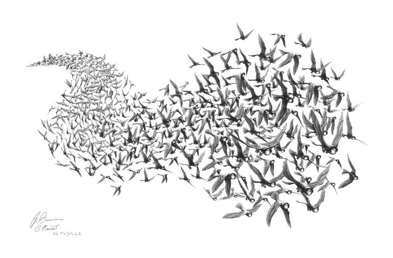 FLOCK Drawing by Gianluca Bonomo CCTVYLLE Project | Saatchi Art