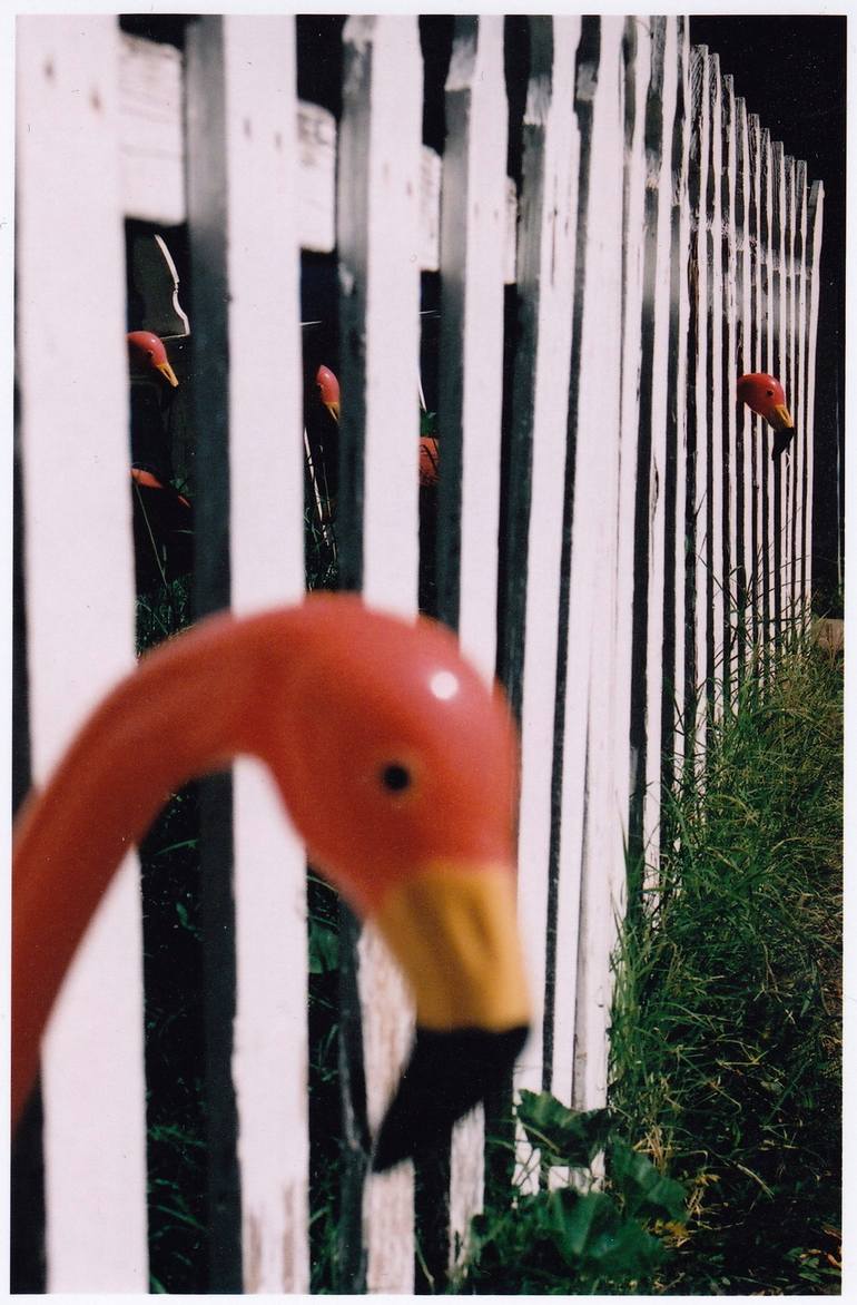 Flamingo Guard Duty Photography by Mark Rembe | Saatchi Art