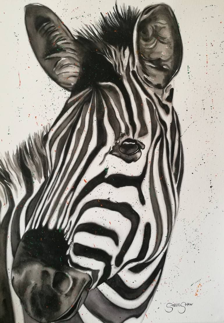 Watercolour Zebra Painting by Steven Shaw | Saatchi Art