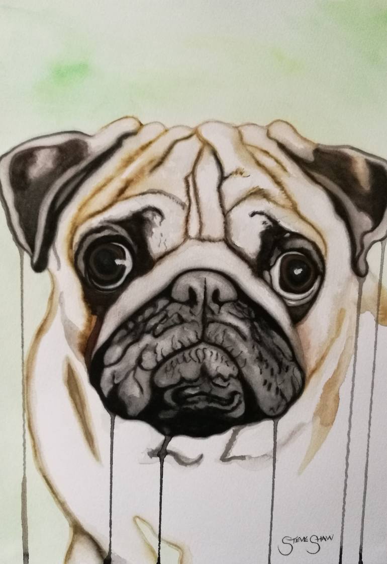 Drippy Pug Painting by Steven Shaw | Saatchi Art
