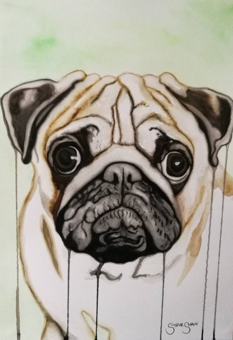 Drippy Pug Painting by Steven Shaw | Saatchi Art