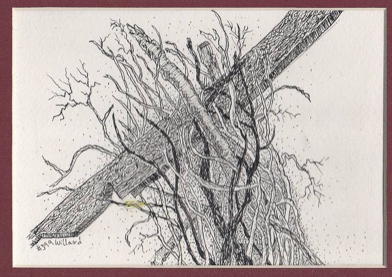 #399 Tangled branches Drawing by Willard Johnson | Saatchi Art