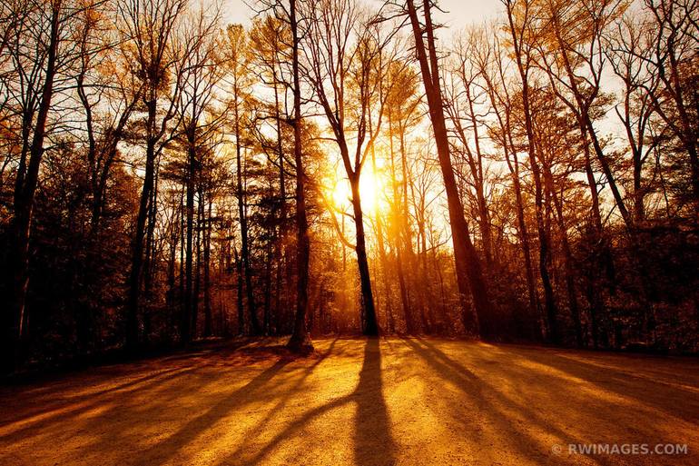 SUNRISE SPRING FOREST CADES COVE SMOKY MOUNTAINS COLOR - Limited ...
