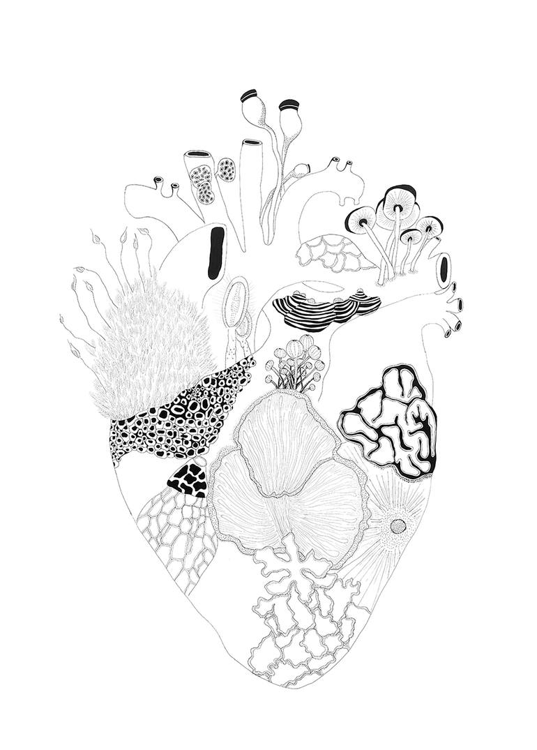 Anatomical undergrowth Drawing by peta morris | Saatchi Art