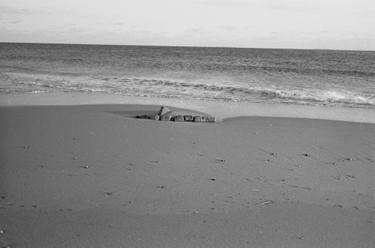 David Shamy | Saatchi Art