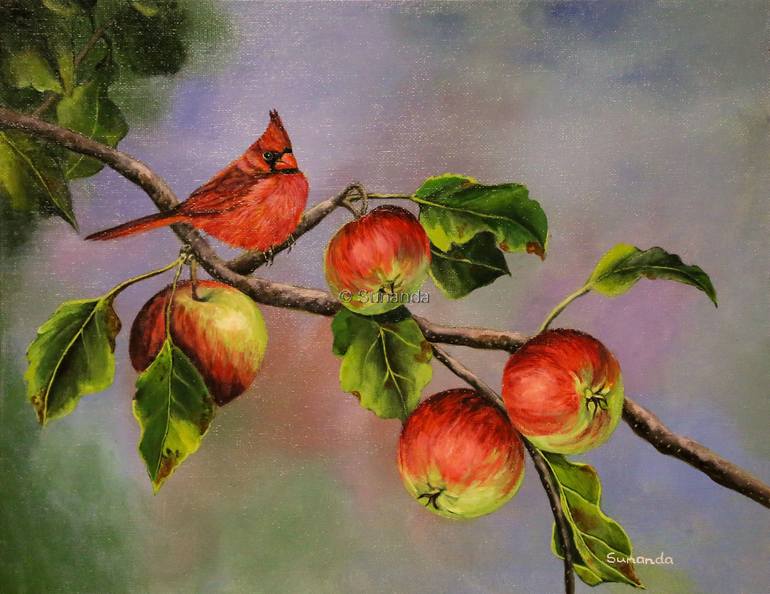 Cardinal and Apples Painting by Sunanda Sarker | Saatchi Art