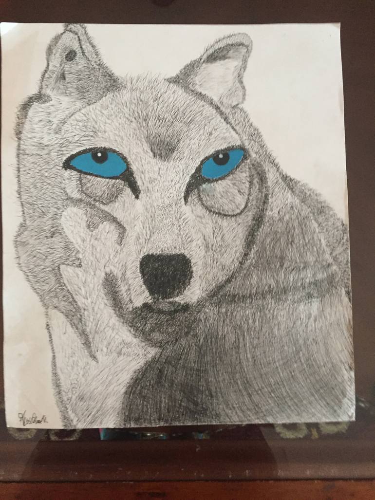 The Deceiving Wolf Drawing by Tessa Kearke | Saatchi Art