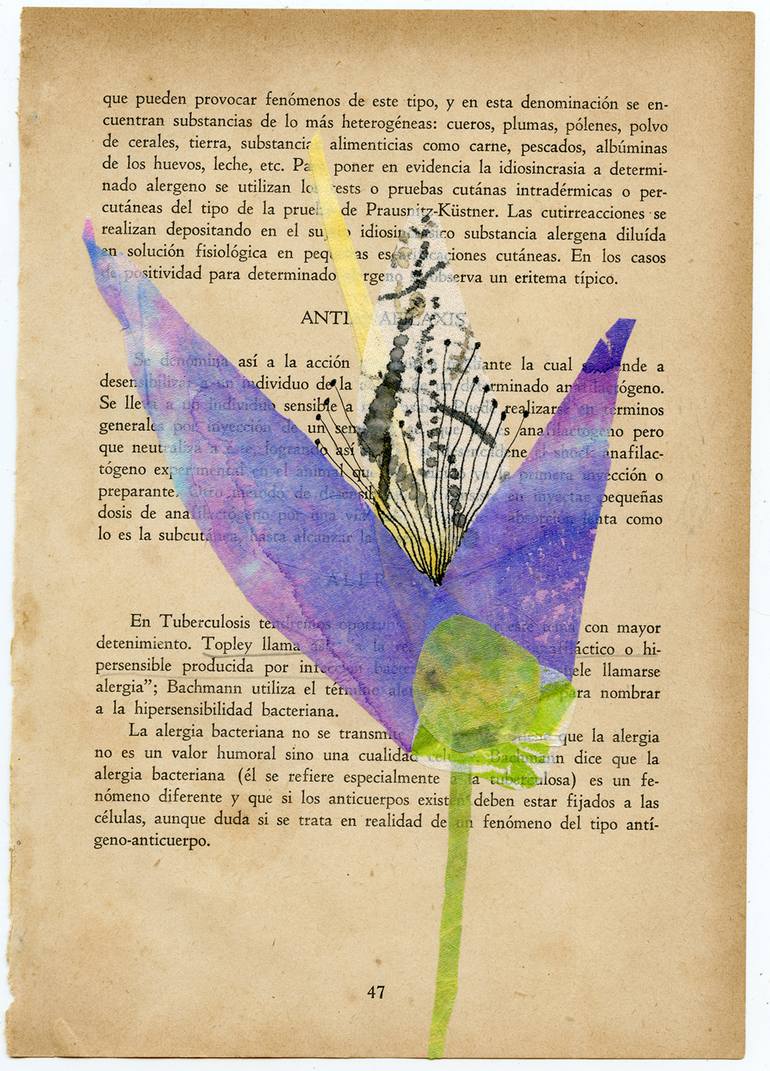 Flor Himalaya 47 Drawing by Irene Singer | Saatchi Art