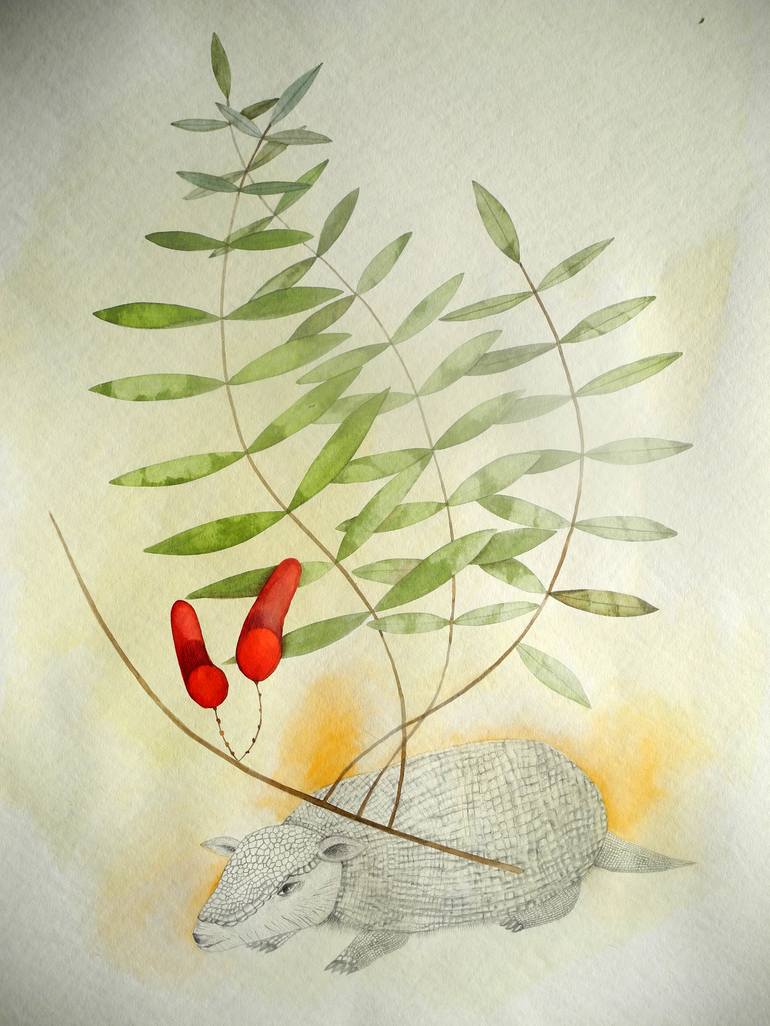 tatú y quebracho colorado Drawing by Irene Singer | Saatchi Art
