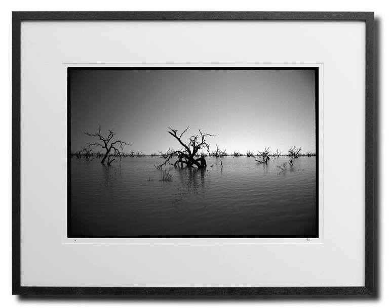 Lake Wetherell #1 Photography by Damian Seagar | Saatchi Art