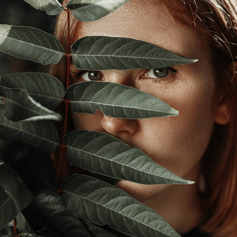 Look through the foliage - Limited Edition of 5 Photography by Alex ...