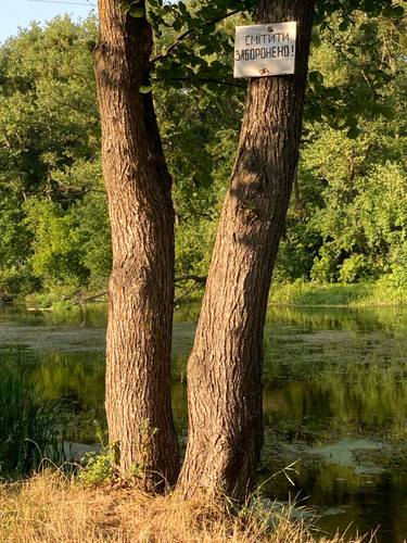 Alex Grear Artworks | Saatchi Art