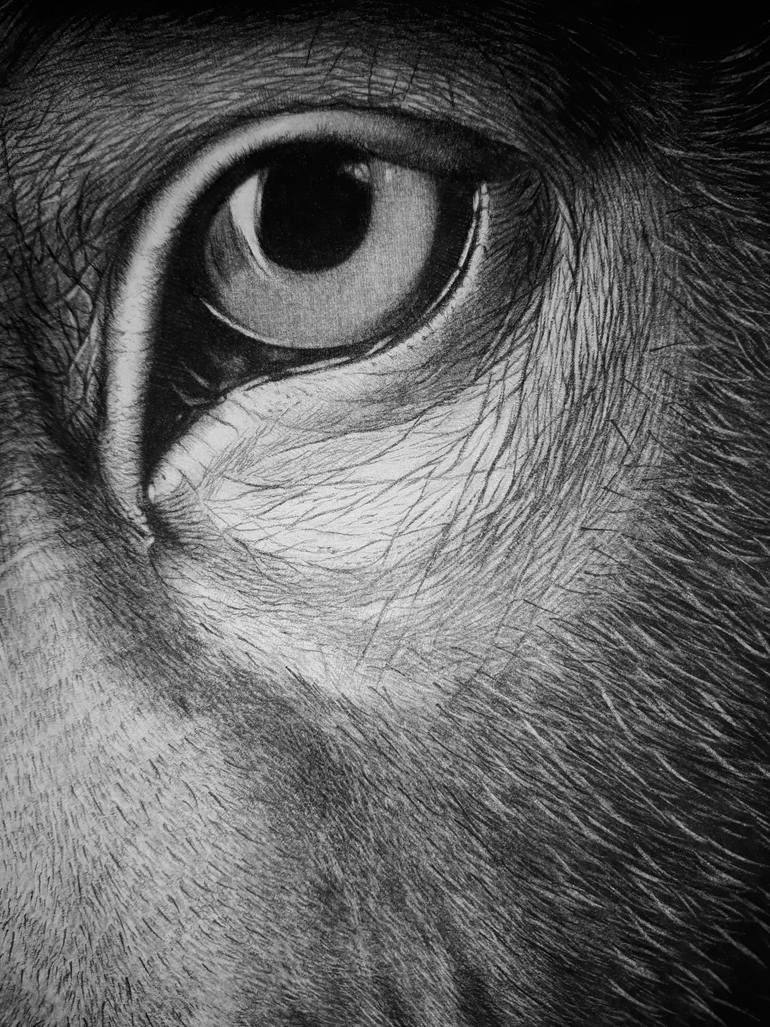 Monkey (9) - The 12 Chinese Zodiac series Drawing by Edwin Darwin ...