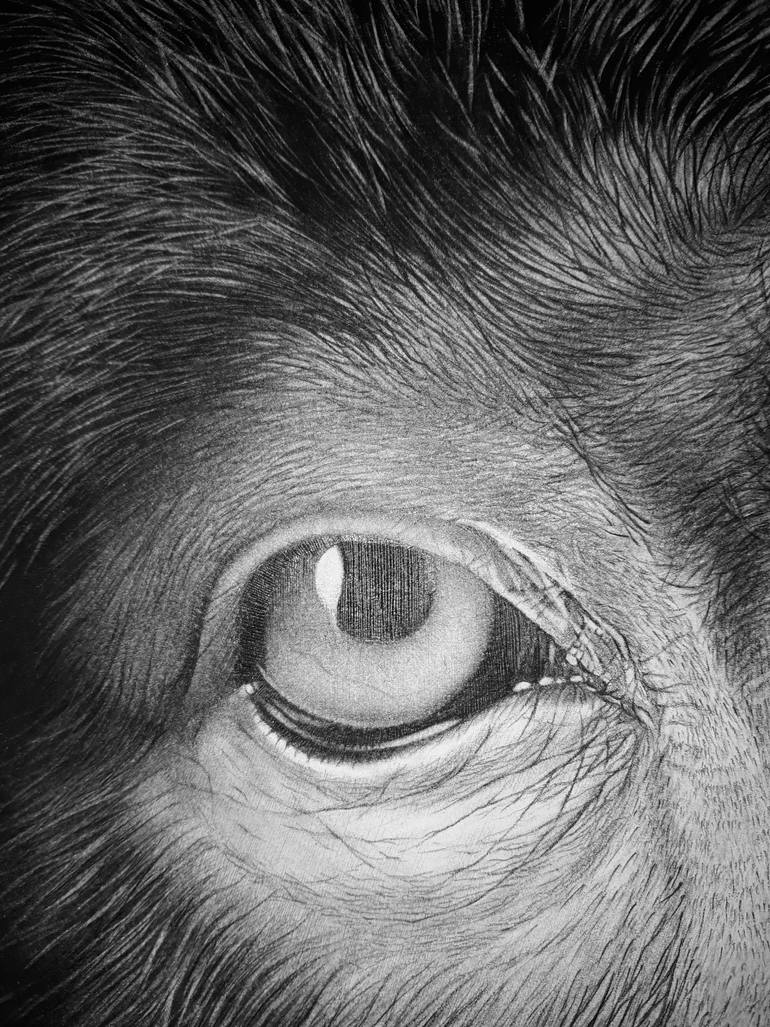 Monkey (9) - The 12 Chinese Zodiac series Drawing by Edwin Darwin ...