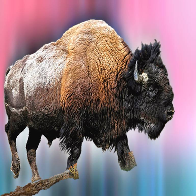 hypnotic bison Photography by Deric Neufeld | Saatchi Art
