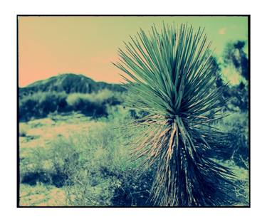 Robert Frear Artworks | Saatchi Art