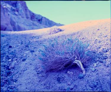 Robert Frear Artworks | Saatchi Art