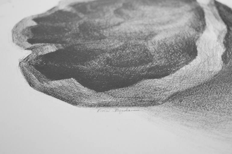 Nutshell Drawing by Eirini Bogdanou | Saatchi Art