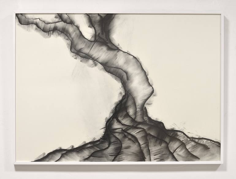 Root Drawing by Ivan Midzo | Saatchi Art