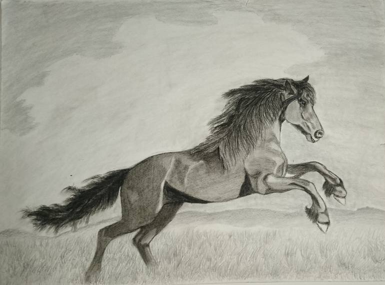 Wild Horse Drawings In Pencil Wild Horse Drawings In Pencil