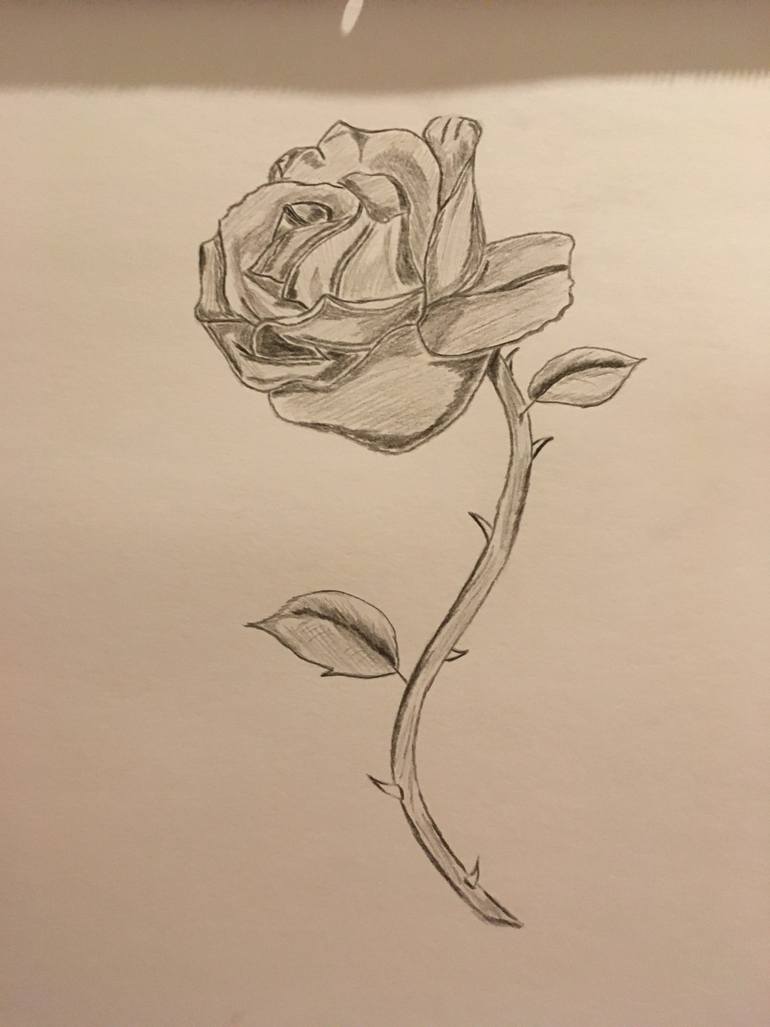 Lonely rose Drawing by Becky Young | Saatchi Art