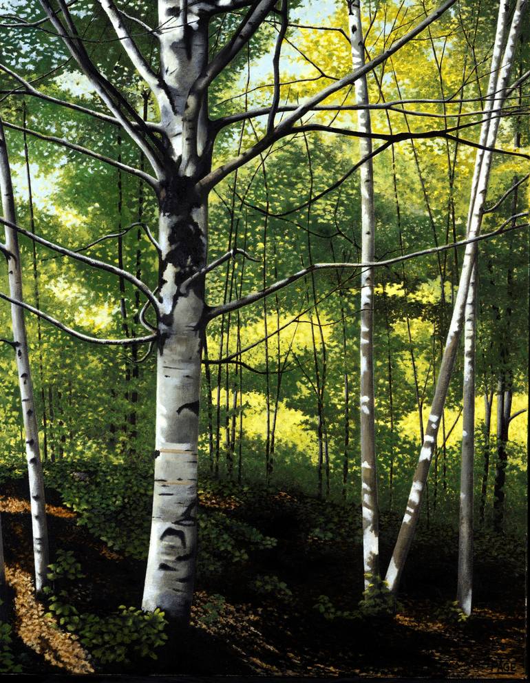 Birches in the Woods Painting by John Page | Saatchi Art