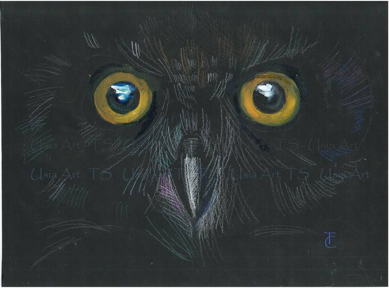 Night Watch. OWL Set World watch You Drawing Drawing by Tatyana Step ...