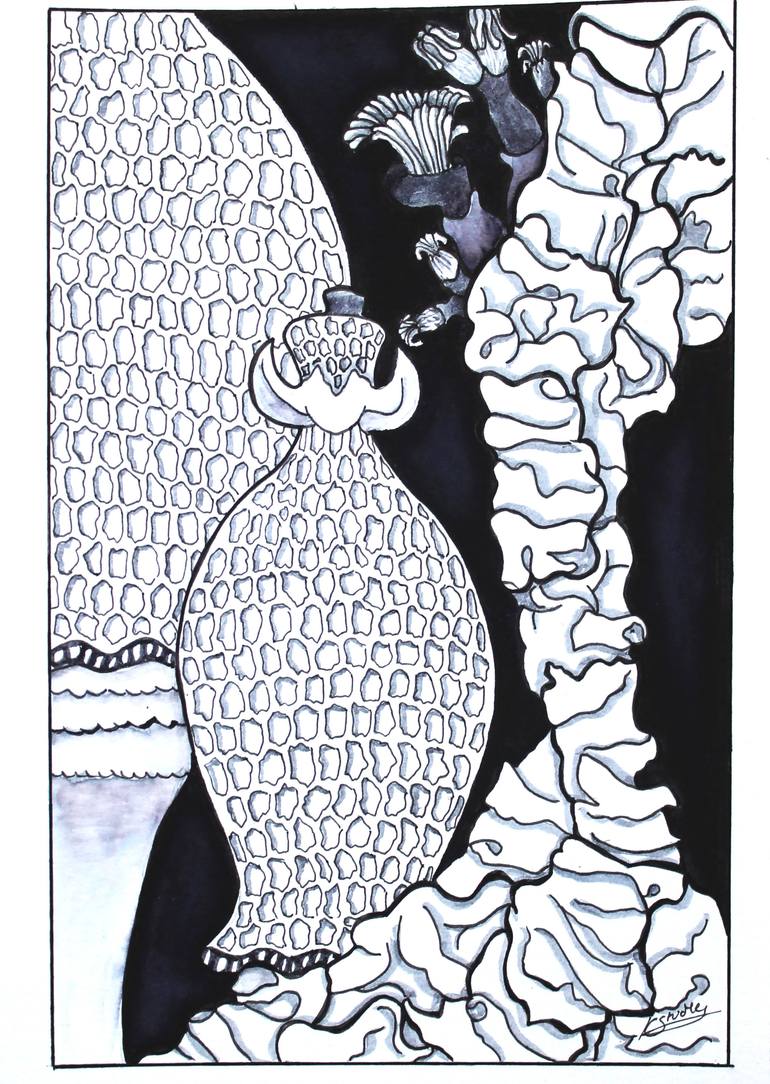 Stemontis Axifera Drawing by Kate Studley | Saatchi Art