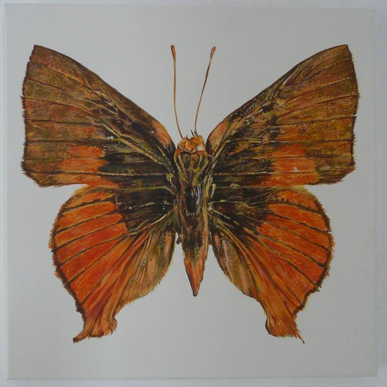 South American Bush Scarlet Butterfly Painting by Janine Roux | Saatchi Art