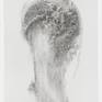 Full Fathom Five #3 Drawing by Sally Simpson | Saatchi Art