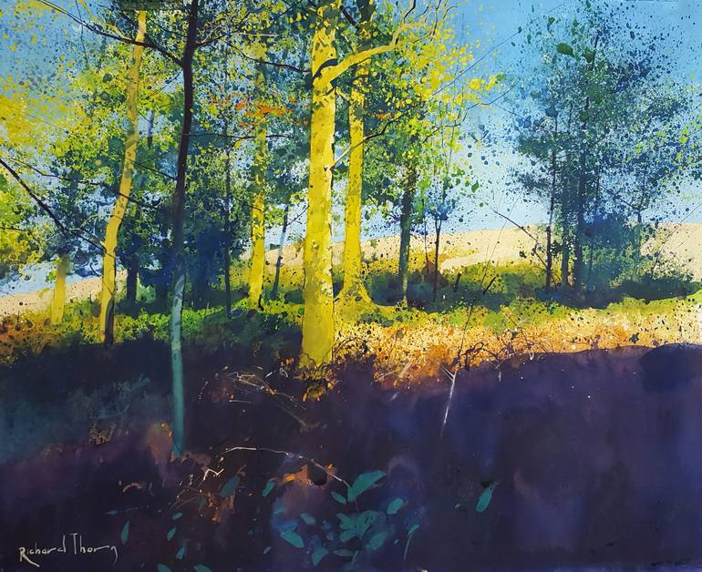 Woodland contrast Painting by Richard Thorn | Saatchi Art