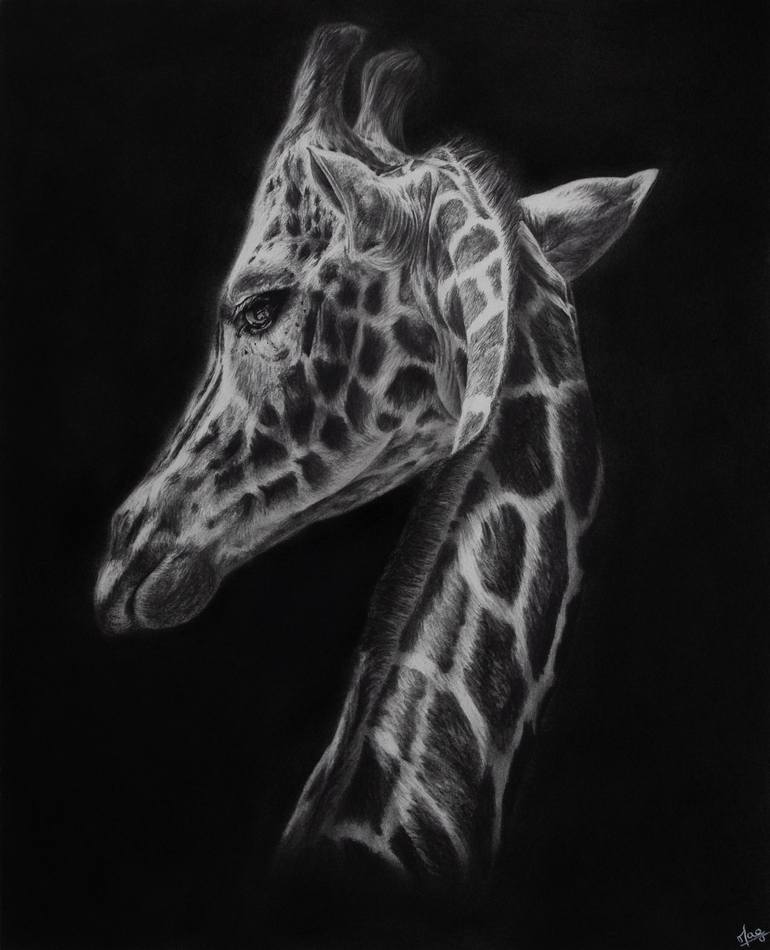 The Lookout Drawing by Magali Lapeyre-Mirande | Saatchi Art