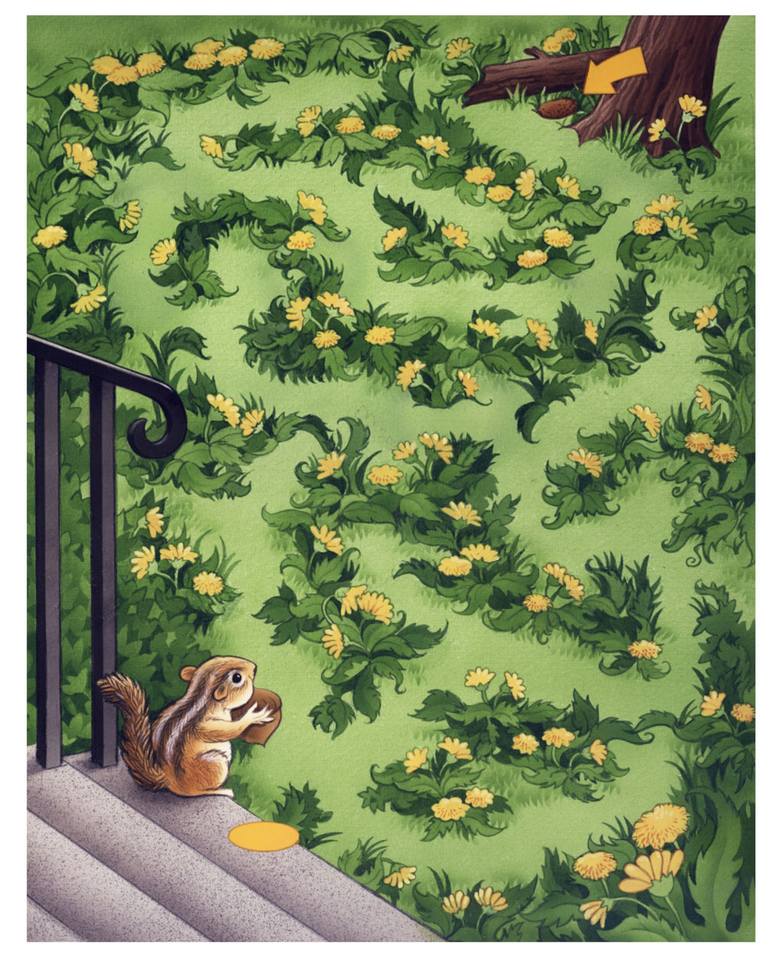 Chipmunk Maze Painting by Lyn Martin | Saatchi Art